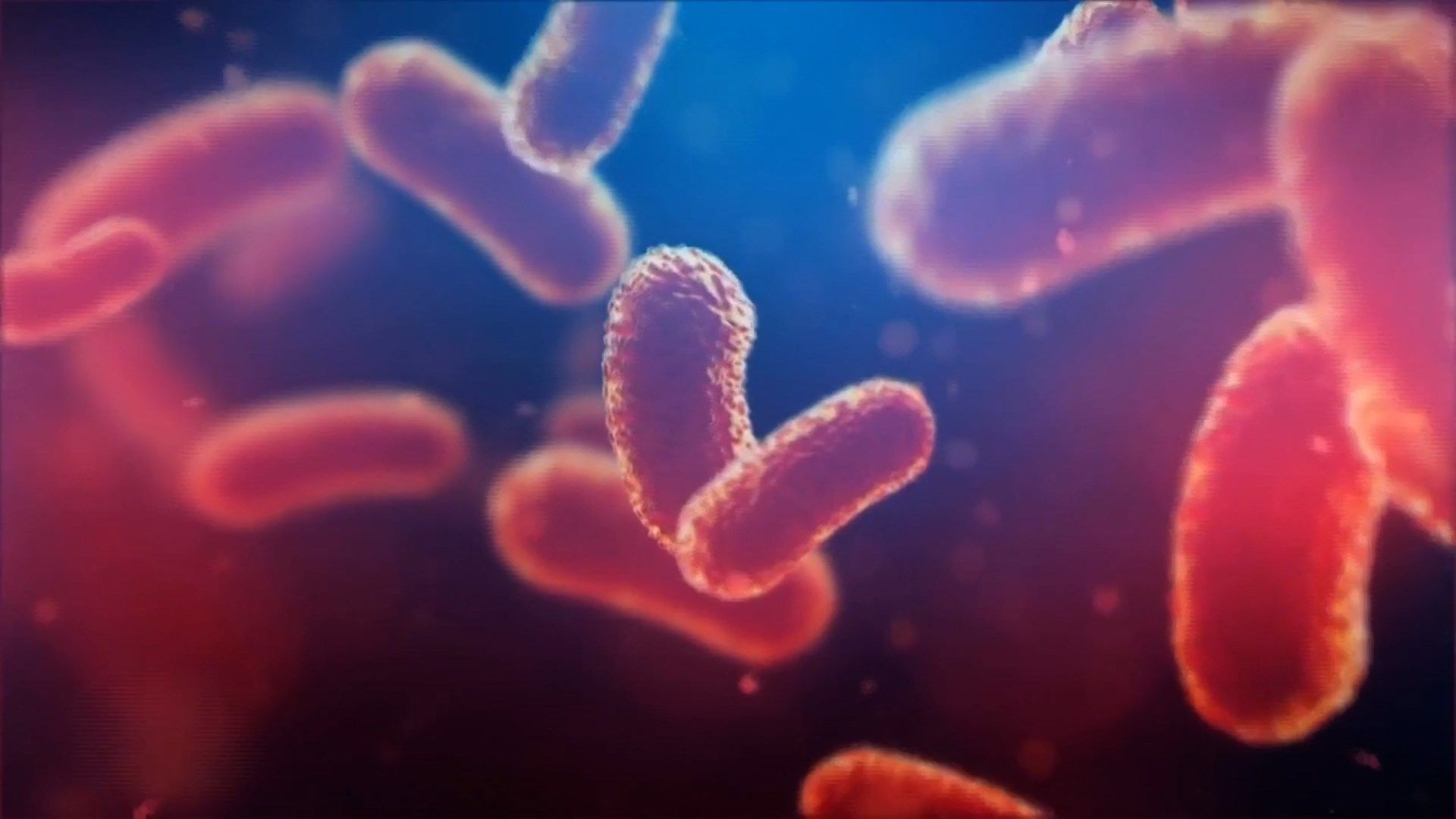 Segmento de Salud Los CDC alertan sobre enfermedad conocida como ...